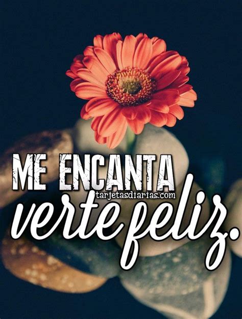 Me Encanta Verte Feliz Frases Bonitas De Parejas Frases De Me
