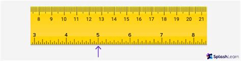 What Is Ruler Definition Types Examples Facts