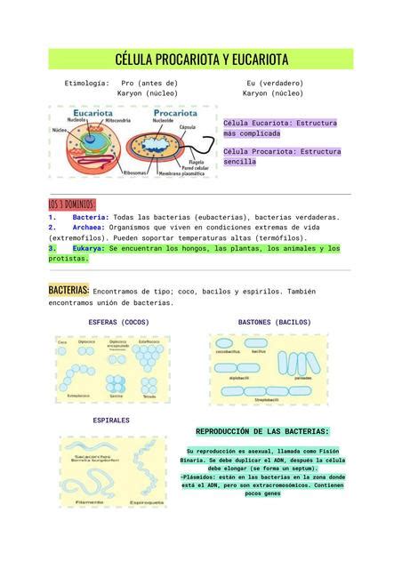 Apuntes Biolog A B Sica Fisioestudiante Udocz