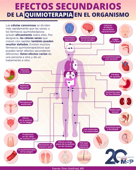 Efectos Secundarios De La Quimioterapia En El Organismo