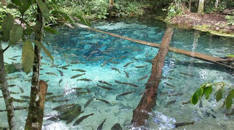 8 pontos turísticos do Mato Grosso para conhecer e se apaixonar Sapicuá