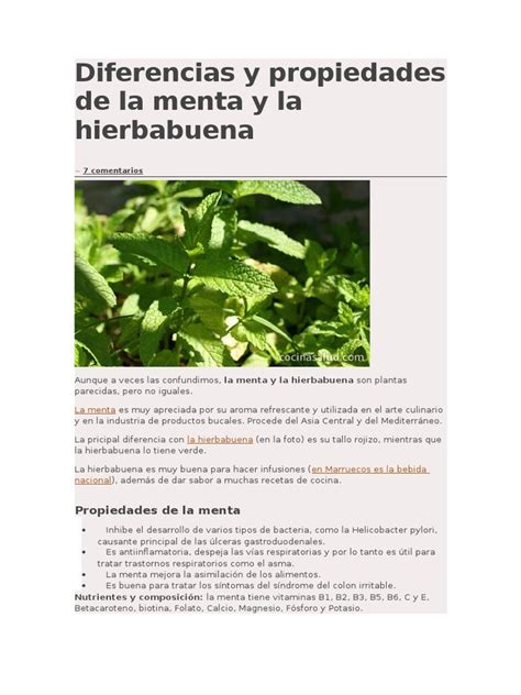 Pdf Diferencias Y Propiedades De La Menta Y La Hierbabuena Docx