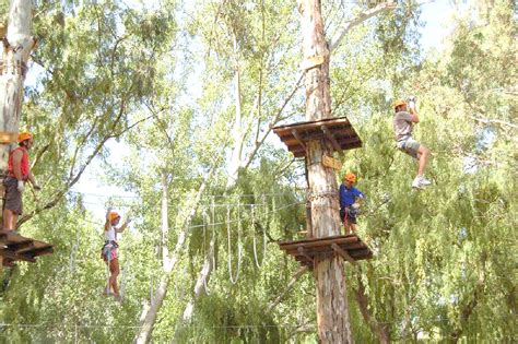 Arborismo La Tendencia Que Crece En Mendoza Y Que San Rafael Fue