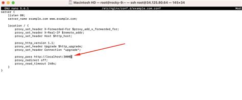 how to set up nginx as a reverse proxy server for pm2 on rocky linux 9 devtutorial