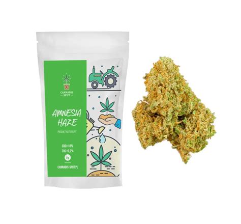 Pluoštinės Kanapės CBD žiedai Amnesia Haze