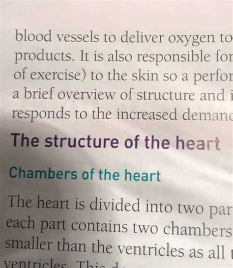 Cardiovascular System Flashcards Memorang