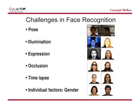 biometric security challenges in face recognition pose illumination expression occlusion time