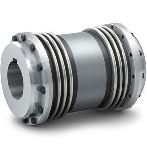 Acoplamiento Flexible St R Series R W Coupling Technology Para