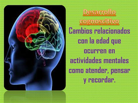 PPT EL ENFOQUE DEL DESARROLLO COGNOSCITIVO PowerPoint Presentation