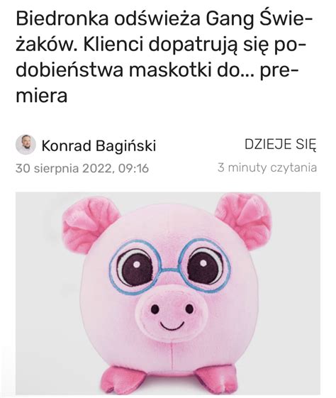 Tygodnik NIE on Twitter W sensie że świnia https t co MskFxdqlCK