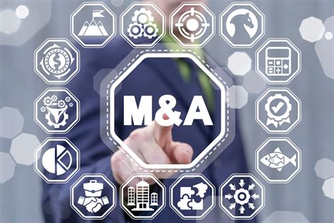 Tipos De Sociedades Empresariales Diferencias Y Ventajas I Blog Epayco