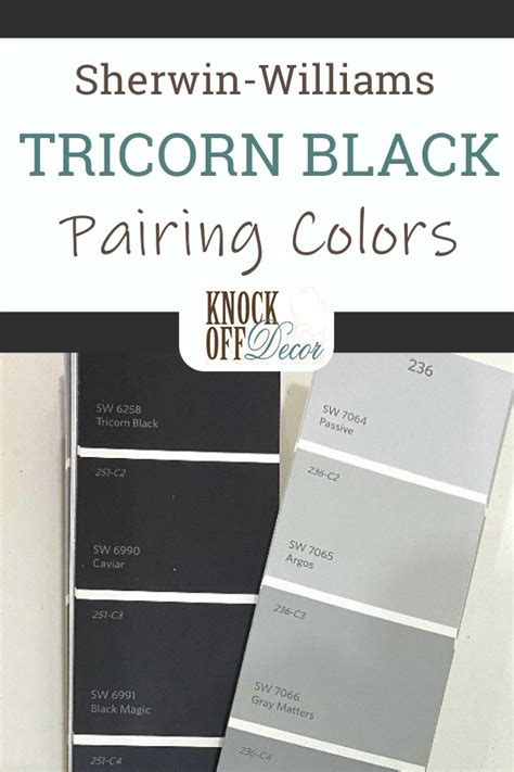 Sherwin Williams Tricorn Black SW 6258 Review The New Classic Matte