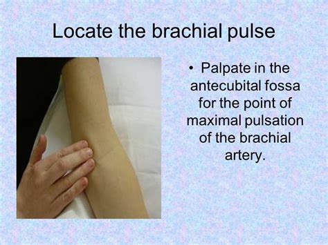 Palpate Brachial Pulse