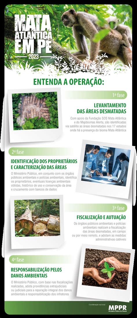 Opera O Mata Atl Ntica Em P Acontece Em Estados