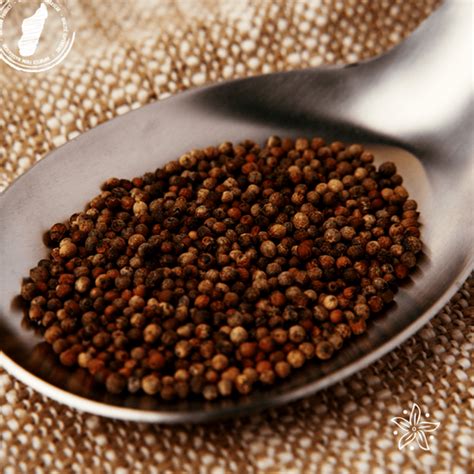 Voatsiperifery Blanc Poivre Sauvage De Madagascar Format