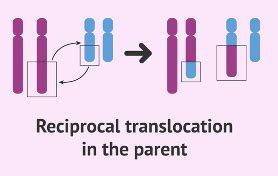 Chromosomal Abnormalities Flashcards Quizlet