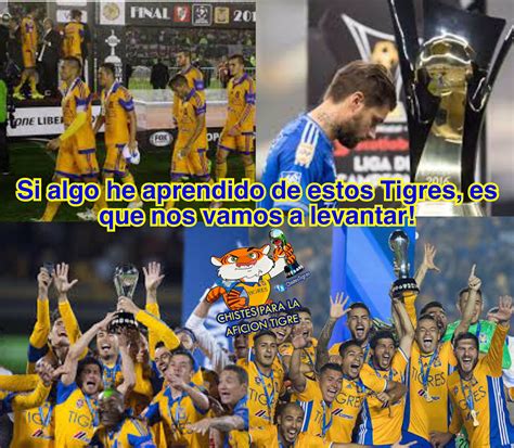Chistes Tigres On Twitter Nos Vamos A Levantar Eso Es De Ley En
