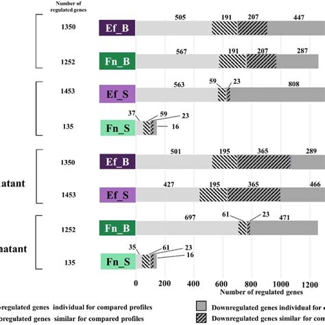 Bar Graph Of Pairwise Comparison Of Differentially Expressed Genes