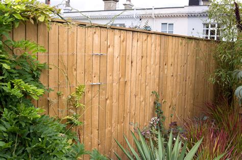 Planting Ideas For Fences That Will Transform Your Yard Themtraicay