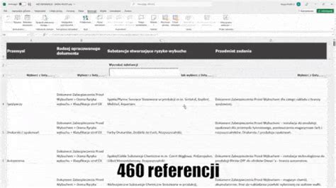 Dokument Zabezpieczenia Przed Wybuchem Dzpw Grupa Wolff