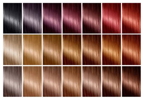 Paleta De Colores Para El Cabello Con Una Gama De Muestras Tintes