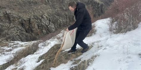 Karsta yaban hayvanları için doğaya yem bırakıldı