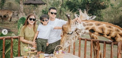 Taman Safari Prigen Jam Buka Harga Tiket Dan Aktivitas Menarik