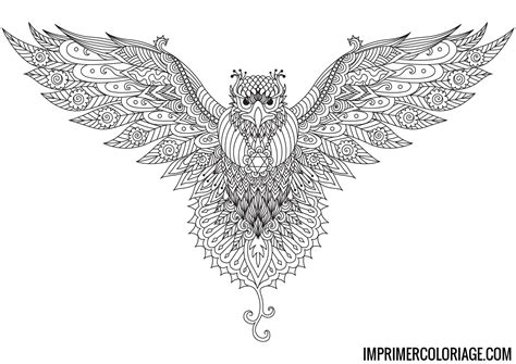Coloriage Oiseau Mandala Imprimer Coloriage