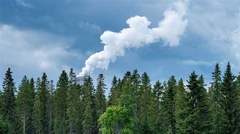 Gaz à effet de serre les forêts françaises absorbent moins que prévu