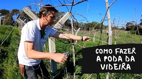 Aprenda A Fazer A Poda Da Videira Rayban Wayfarer Mens Sunglasses