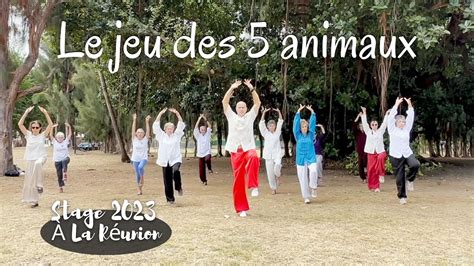 Wu Qin Xi Ou Qi Gong Des Animaux Stage Le De La R Union