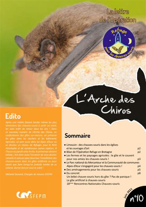 Les Refuges Pour Les Chauves Souris GMB