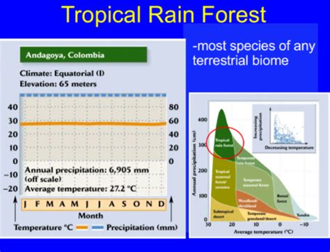 Ecology Final Flashcards Quizlet