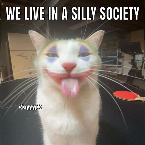 Silly Society Silly Cats Know Your Meme