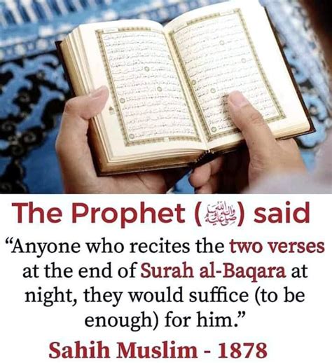 Pin On Quran Hadith