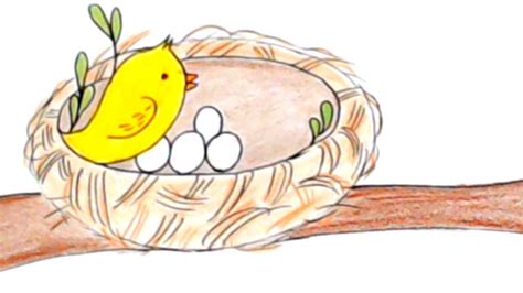 Desenho De Ninho De Passarinho Desenho De Ninho De Passarinho Para
