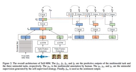 learning modality specific representations with self supervised multi task learning for