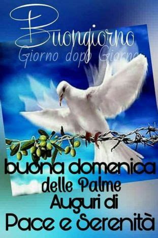 Domenica Delle Palme 2020 Immagini E Auguri Da Inviare Su WhatsApp Ad