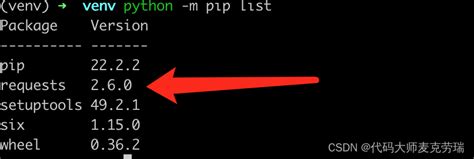 python虚拟环境venv实战过程详解 python 脚本之家