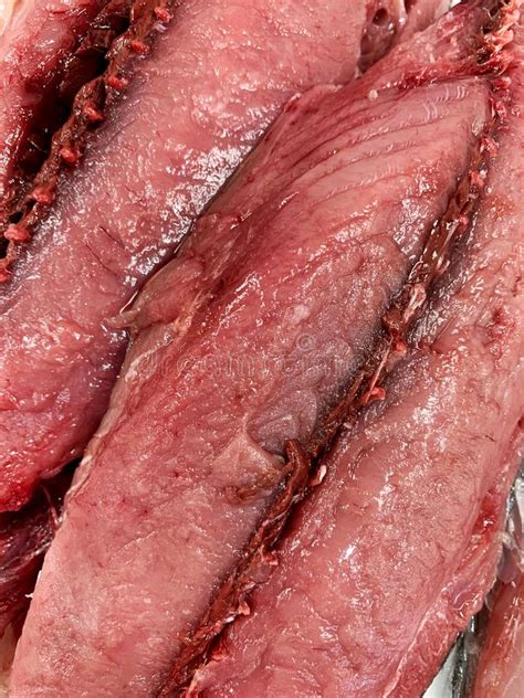 Tuna Raw Meat In A Butcher Shop Stock Image Image Of Preparation