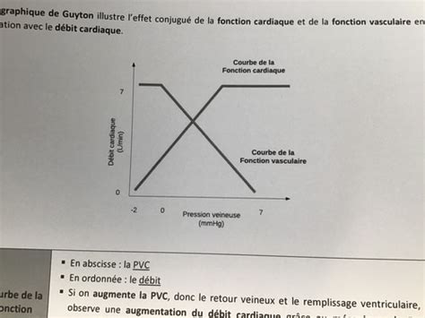 Os Physiologie 18 Cardio Flashcards Quizlet