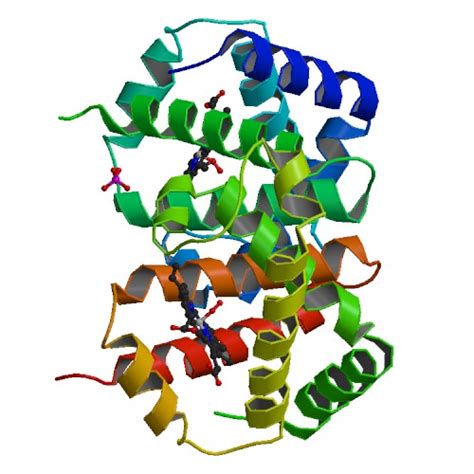 pdb 101 learn guide to understanding pdb data missing coordinates and biological assemblies
