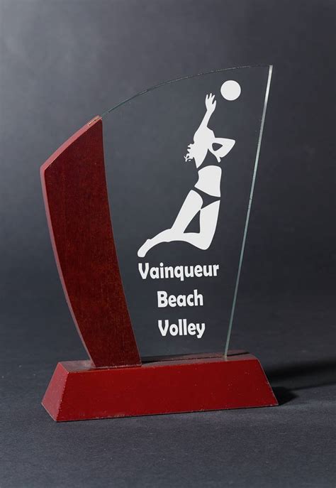 Trophée Bois Et Verre Haut 16 Cm
