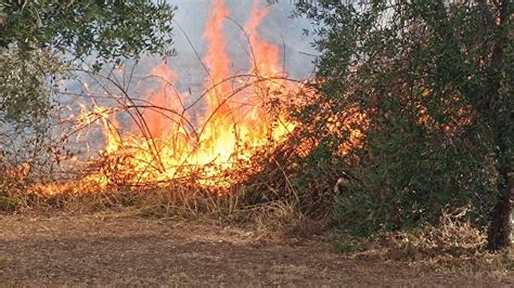 Incendi A Roma Fiamme In Un Golf Club Rogo Anche Nella Zona Del Parco
