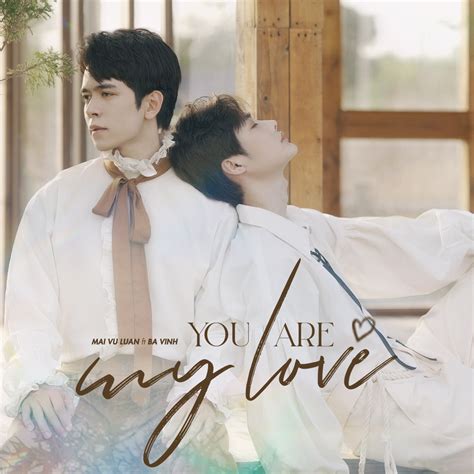 You Are My Love Feat B Vinh Single Album By Mai V Lu N