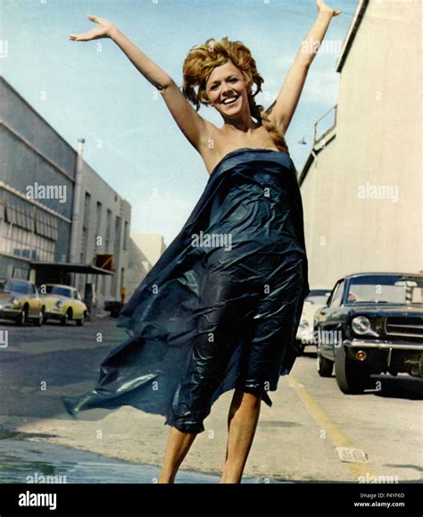 Inger Stevens Hi Res Stock Photography And Images Alamy