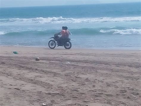 Motociclistas Ponen En Riesgo Nidos De Tortuga En Playa Larga