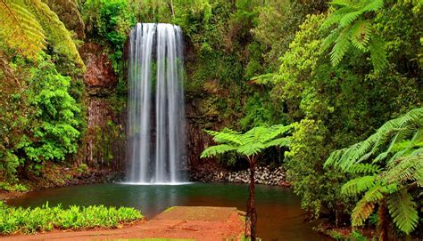 Fondos De Pantalla Paisaje Bosque Cascada Verde Selva Rbol
