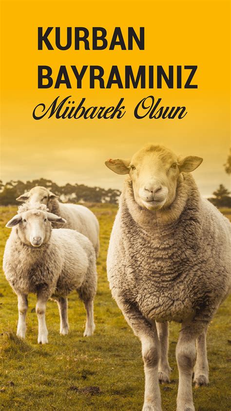Kurban Bayram Mesajlar Resimli Kurban Bayram Mesaj