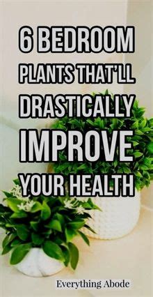 Pin By Rovorfgecna On Health And Wellness Documentary House Plants